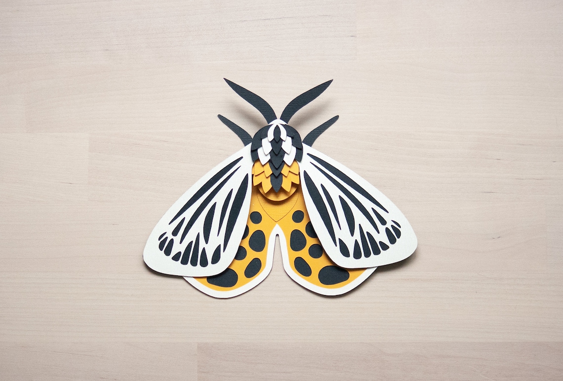 Digital Tiger Moth BUNDLE, Papercraft 3D Moth, DIY Cardstock Moth ...