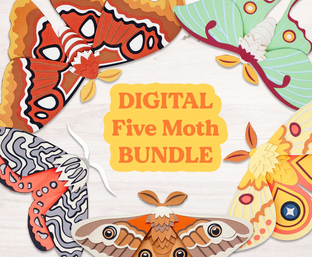 Digital Five Moth BUNDLE | Papercraft 3D Moth | DIY Cardstock Moth ...