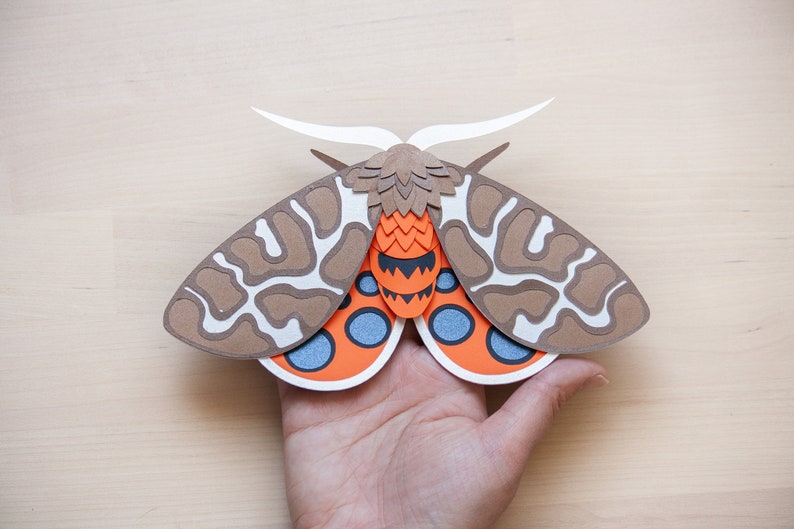 Printable Moth Craft Svg for Cricut, DIY Paper Moth Craft, Entomology ...
