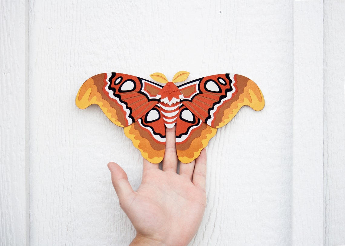Papercraft 3D Moth Paper Atlas Moth Paper Bug Insect DIY | Etsy