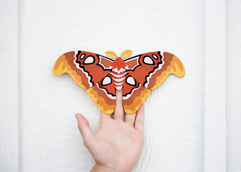 Papercraft 3D Moth Paper Atlas Moth Paper Bug Insect DIY | Etsy
