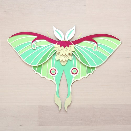Papercraft 3D Moth Paper Emperor Moth Paper Bug Insect - Etsy