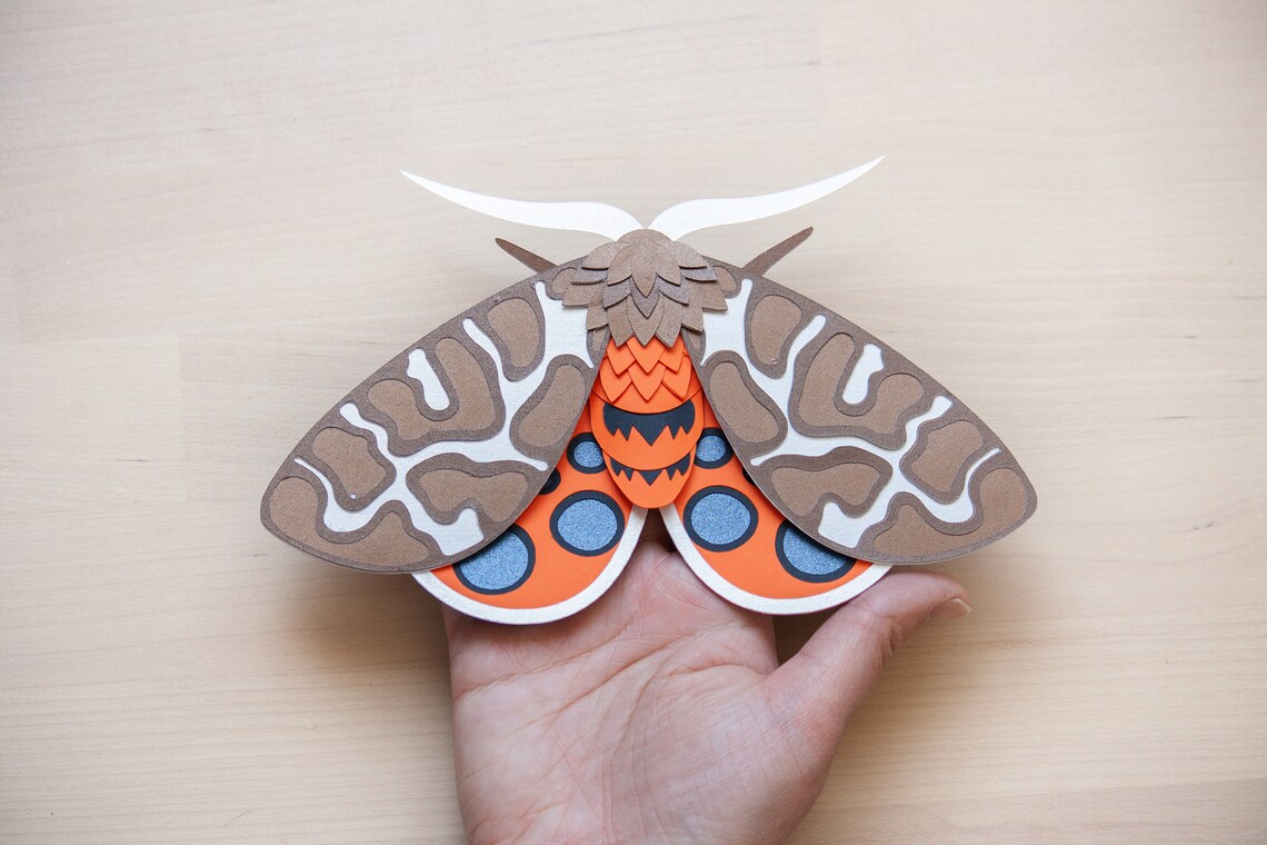 Digital Tiger Moth BUNDLE Papercraft 3D Moth DIY Cardstock - Etsy