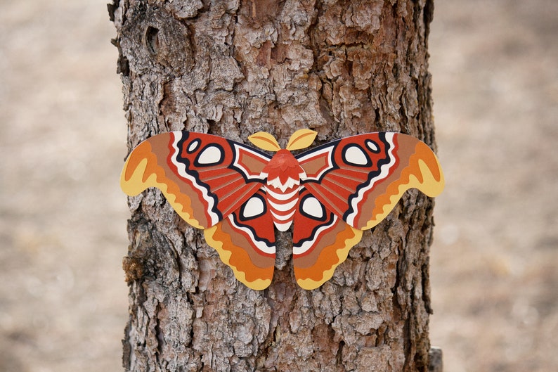 Papercraft 3D Moth Paper Atlas Moth Paper Bug Insect DIY | Etsy