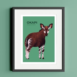 Okapi Educational Art | Zoo Animal Art | Unframed - Animal Illustration ...