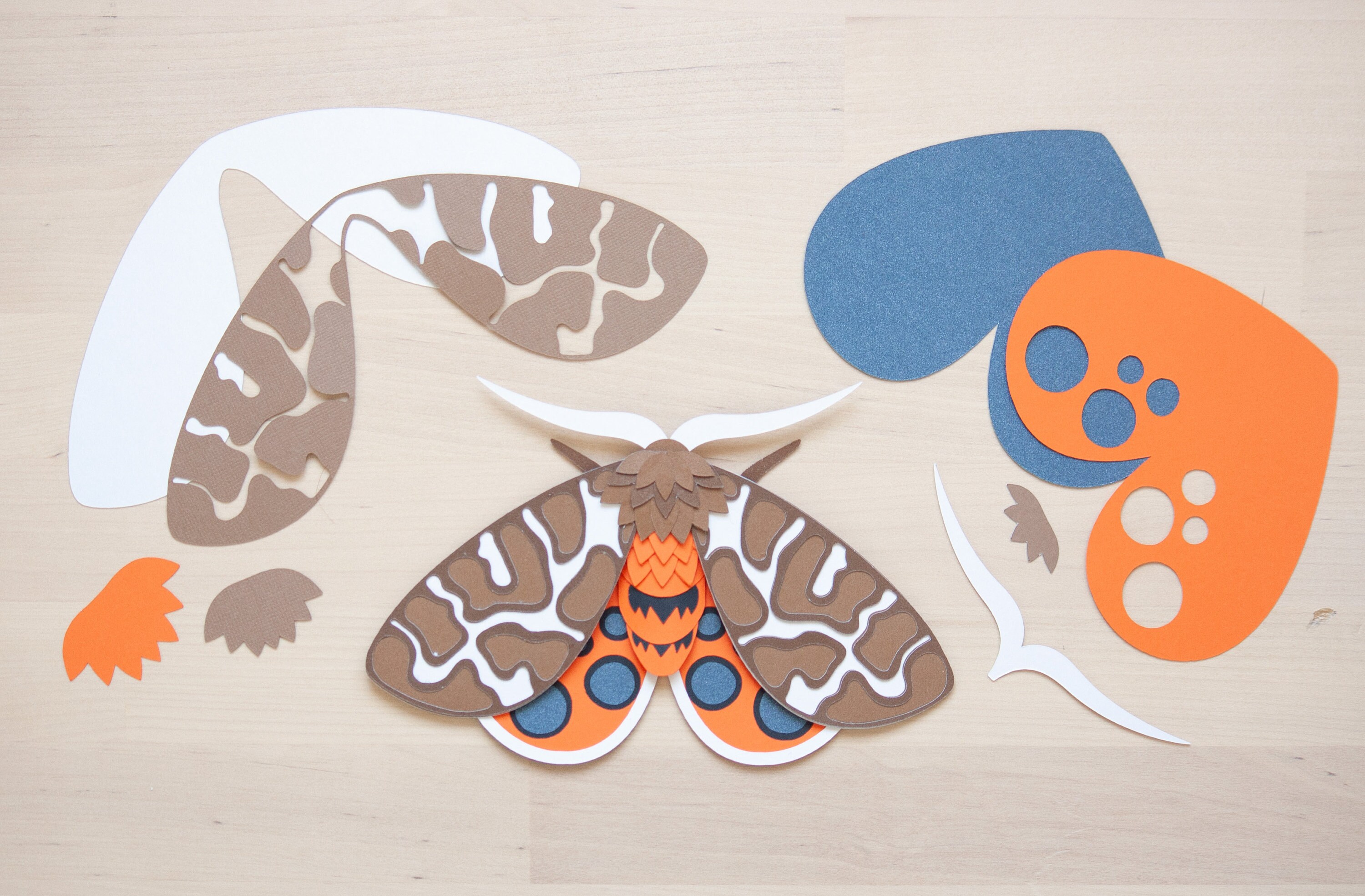 Printable Moth Craft Svg for Cricut DIY Paper Moth Craft - Etsy UK