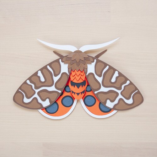 Printable Moth Craft Svg for Cricut DIY Paper Moth Craft - Etsy UK
