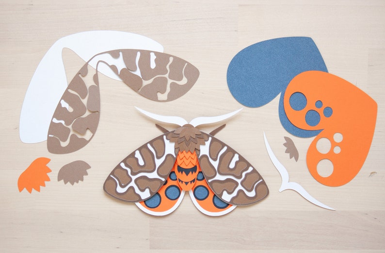 Digital Tiger Moth BUNDLE, Papercraft 3D Moth, DIY Cardstock Moth ...