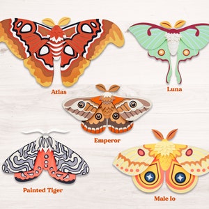 Digital Five Moth BUNDLE | Papercraft 3D Moth | DIY Cardstock Moth ...