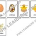 Life Cycle of a Chicken / Flash Cards, Image Cards for Kids ...