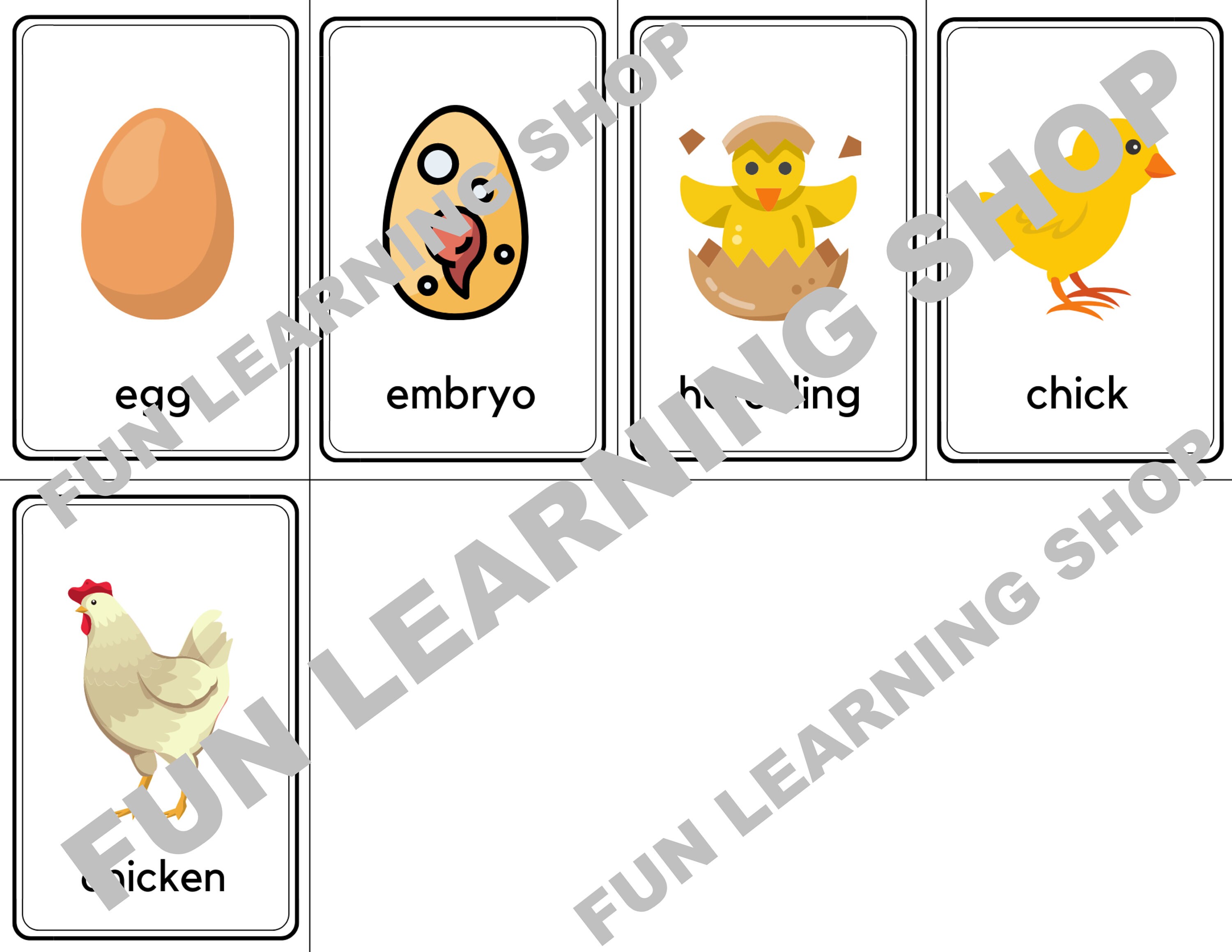 Life Cycle of a Chicken / Flash Cards, Image Cards for Kids ...