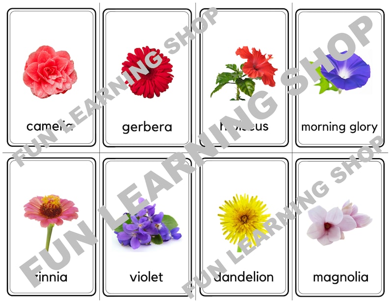 32 Flowers Flashcards / Image Cards for Kids, Preschoolers ...