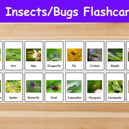 16 Farm Animals Flashcards / Image Cards for Kids - Etsy