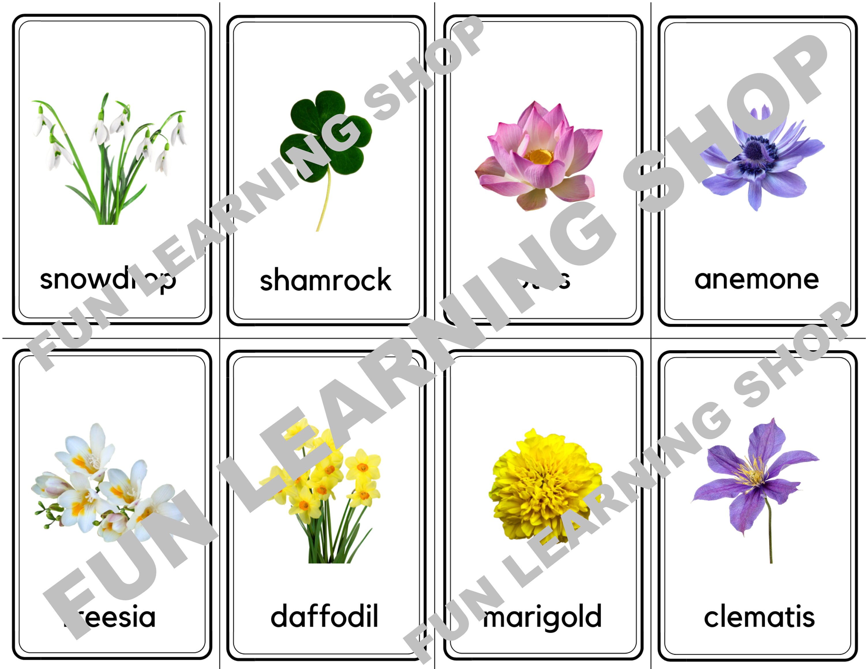 32 Flowers Flashcards / Image Cards for Kids, Preschoolers ...