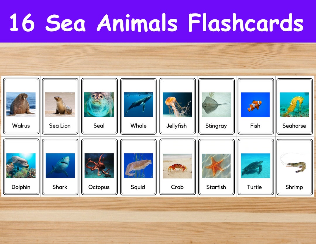 16 Sea Animals Flashcards / Image Cards for Kids, Preschoolers ...