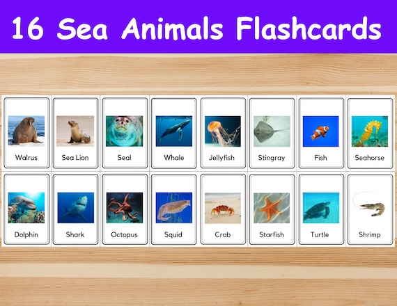 16 Sea Animals Flashcards / Image Cards for Kids | Etsy
