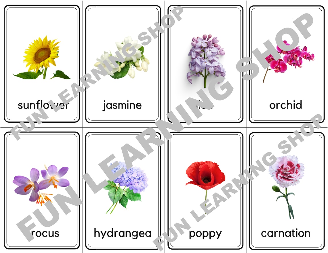 32 Flowers Flashcards / Image Cards for Kids, Preschoolers ...