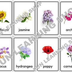32 Flowers Flashcards / Image Cards for Kids, Preschoolers ...