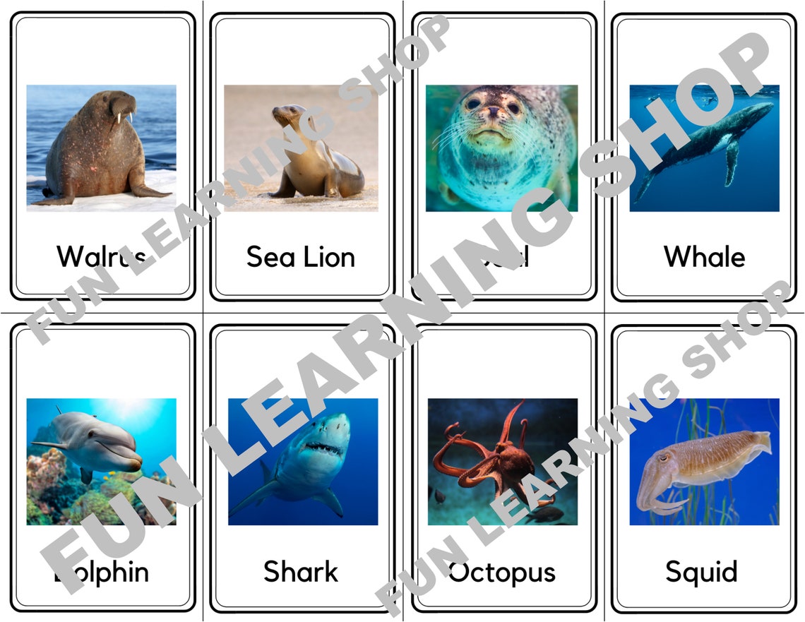 16 Sea Animals Flashcards / Image Cards for Kids, Preschoolers ...