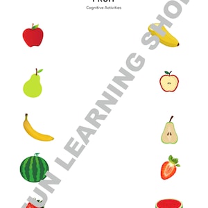 Cognitive Activity, Perception Worksheets,macthing, Concentration ...