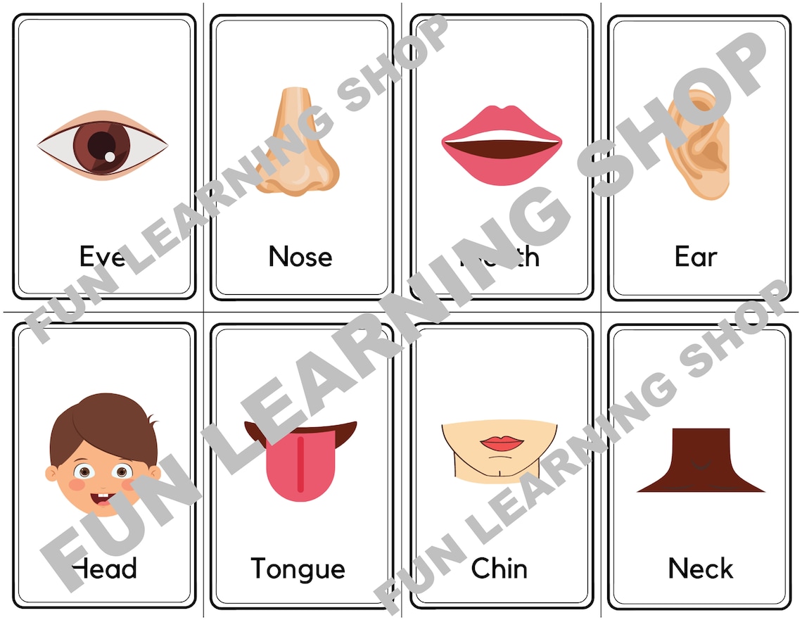 16 Body Parts Flashcards / Image Cards for Kids, Preschoolers ...