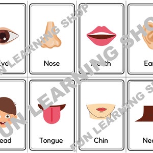 16 Body Parts Flashcards / Image Cards for Kids, Preschoolers ...