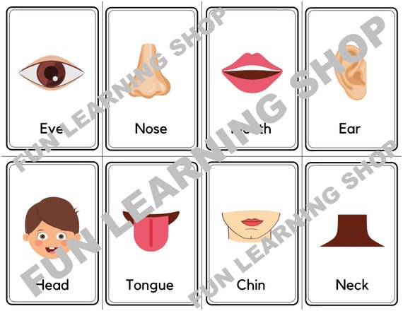 Parts Of The Body Flashcards For The Super Simple Learning My