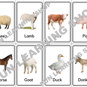 16 Farm Animals Flashcards / Image Cards for Kids, Preschoolers ...