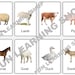 16 Farm Animals Flashcards / Image Cards for Kids, Preschoolers ...