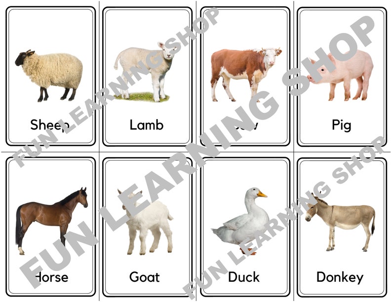 16 Farm Animals Flashcards / Image Cards for Kids, Preschoolers ...