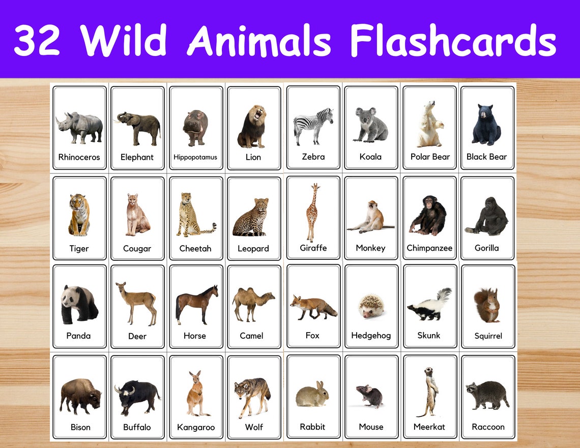 32 Wild Animals Flashcards / Image Cards for Kids. Nomenclature Cards ...