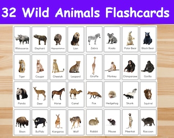 32 Wild Animals Flashcards, African Animals, Kids Cards, Nomenclature ...