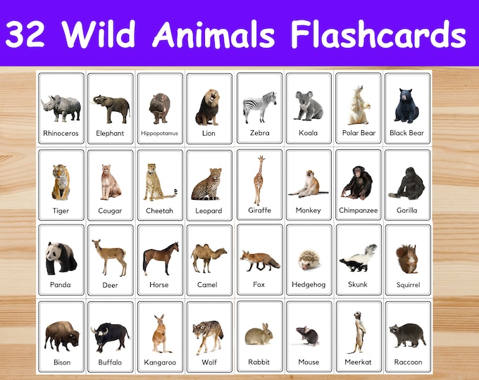 Editable Safari Animals Flashcards for Kids, Montessori Animal Name ...