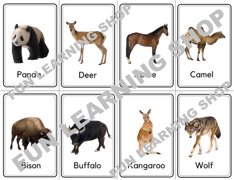 32 Wild Animals Flashcards / Image Cards for Kids. Nomenclature Cards ...