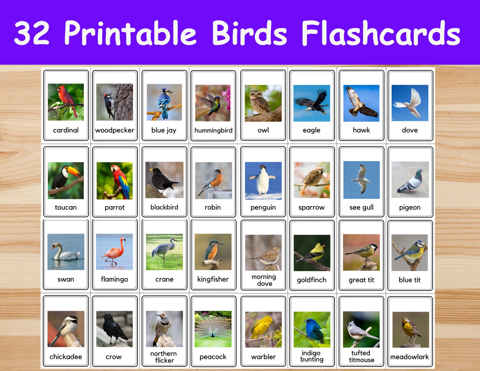 32 Birds Flashcards / Image Cards for Kids Preschoolers. | Etsy