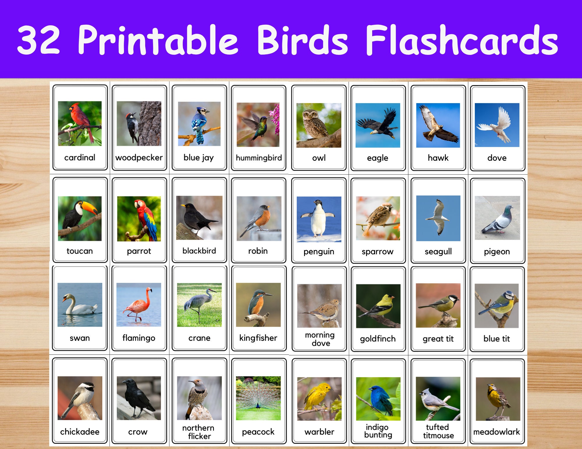 32 Birds Flashcards / Image Cards for Kids, Preschoolers. Nomenclature ...