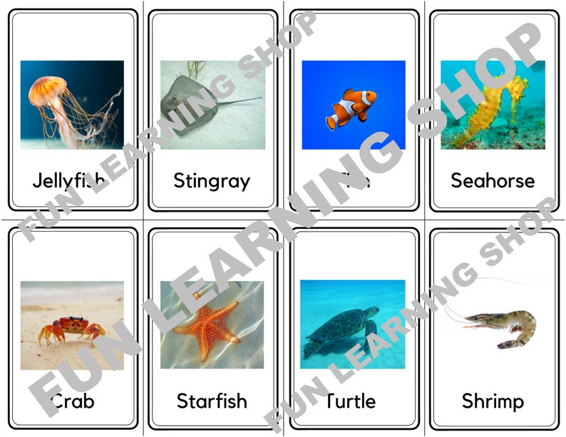 16 Sea Animals Flashcards / Image Cards for Kids, Preschoolers ...