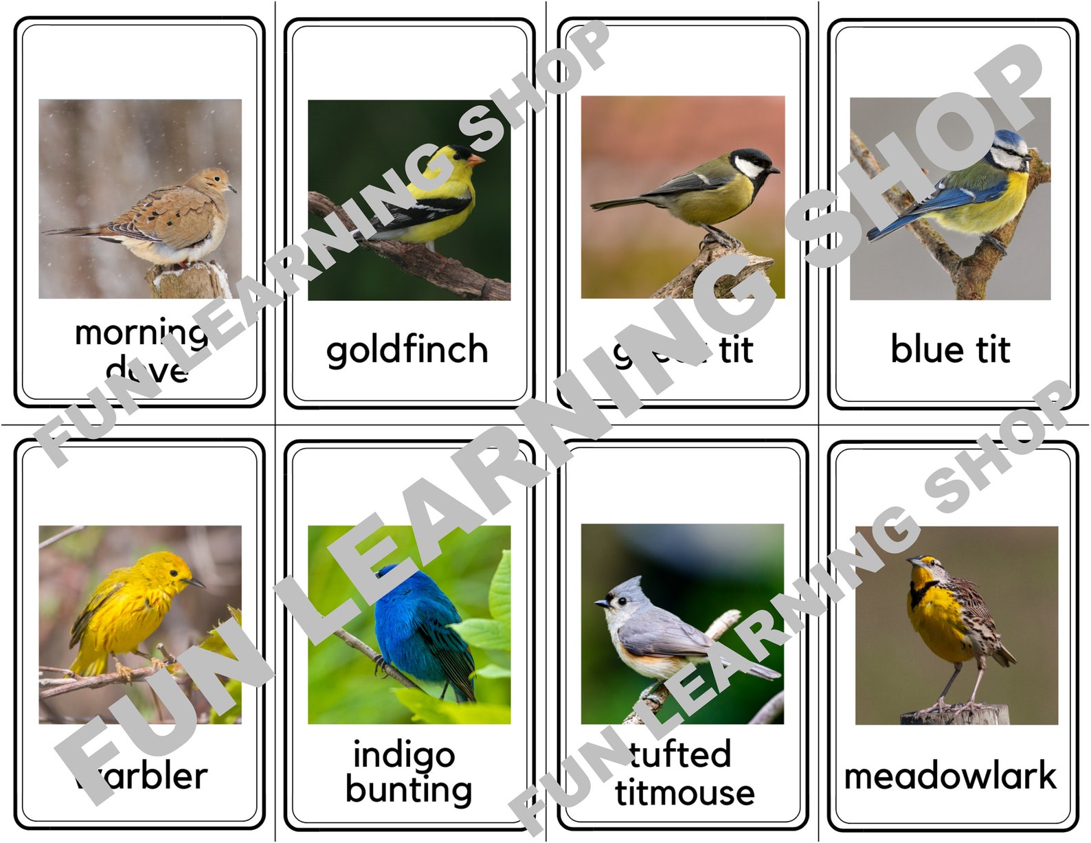 32 Birds Flashcards / Image Cards for Kids, Preschoolers. Nomenclature ...