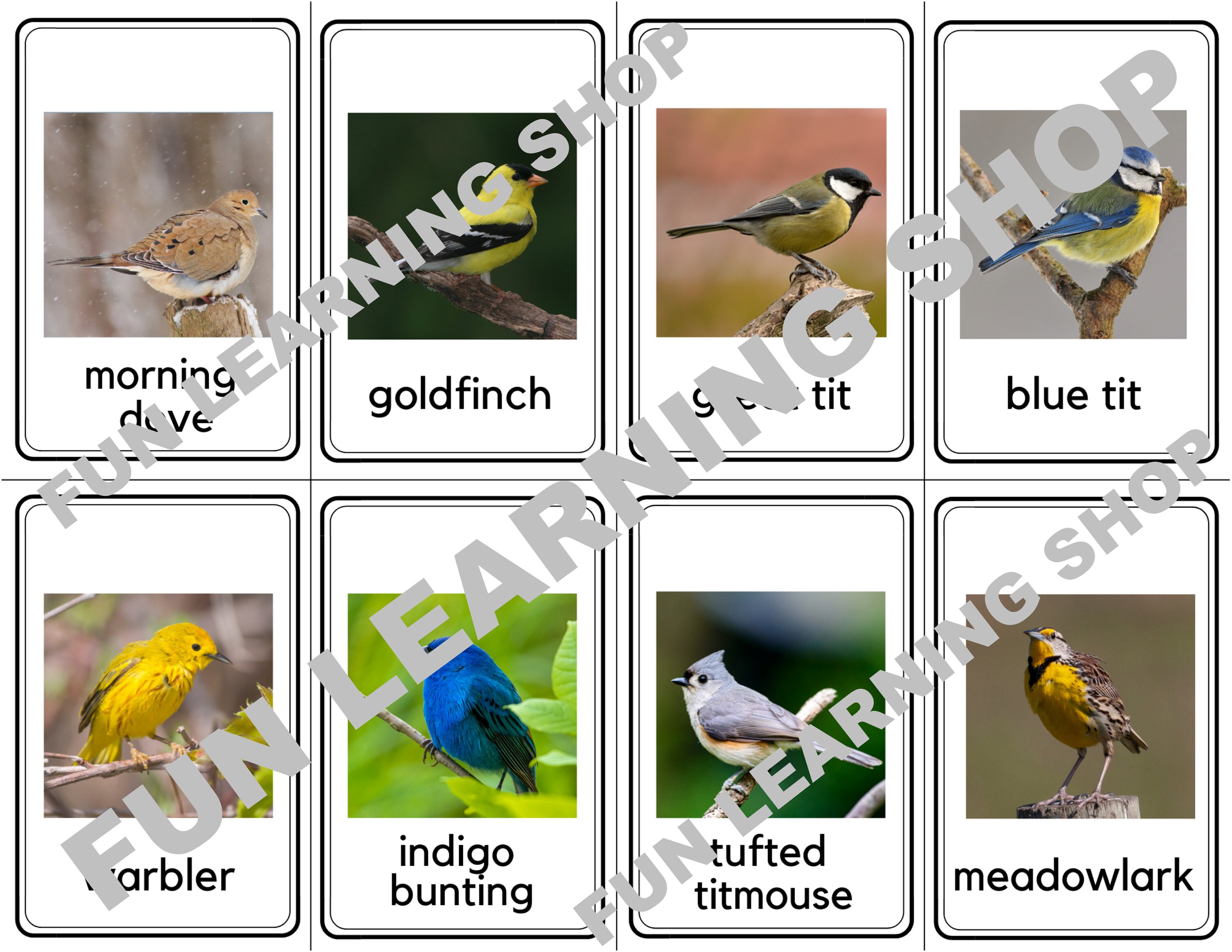 32 Birds Flashcards / Image Cards for Kids Preschoolers. - Etsy
