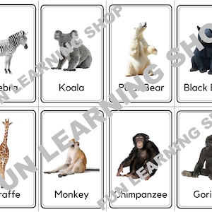 32 Wild Animals Flashcards / Image Cards for Kids. Nomenclature Cards ...