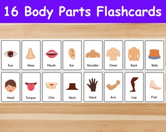 16 Sports Balls Flashcards / Image Cards for Kids, Preschoolers ...