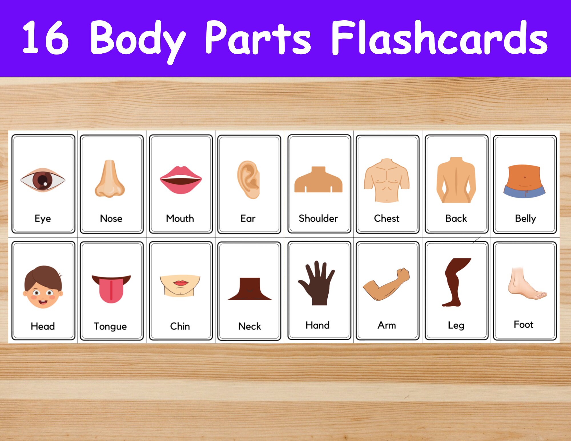 Yukar da Etiket Kavun Body Parts Flashcards For Preschoolers 