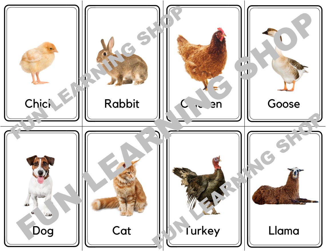 16 Farm Animals Flashcards / Image Cards for Kids, Preschoolers ...