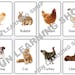 16 Farm Animals Flashcards / Image Cards for Kids, Preschoolers ...