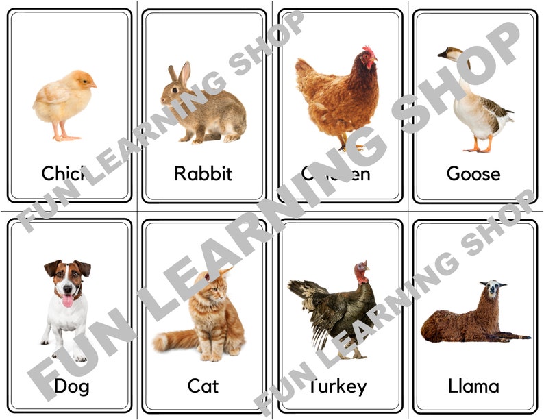 16 Farm Animals Flashcards / Image Cards for Kids, Preschoolers ...