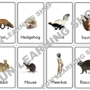32 Wild Animals Flashcards / Image Cards for Kids. Nomenclature Cards ...