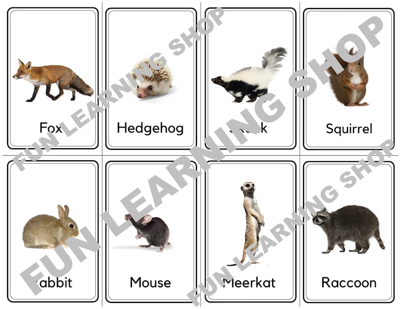 32 Wild Animals Flashcards / Image Cards for Kids. Nomenclature Cards ...