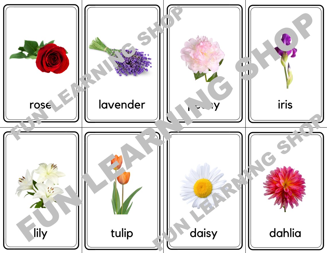 32 Flowers Flashcards / Image Cards for Kids, Preschoolers ...