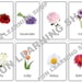 32 Flowers Flashcards / Image Cards for Kids, Preschoolers ...