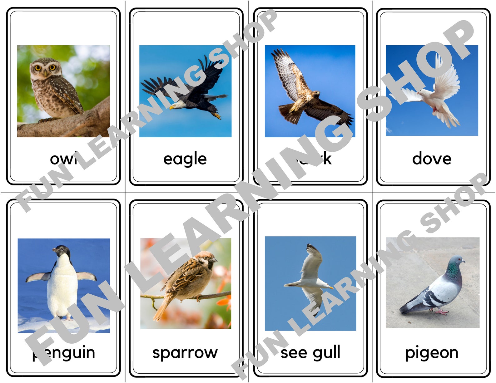 32 Birds Flashcards / Image Cards for Kids Preschoolers. | Etsy